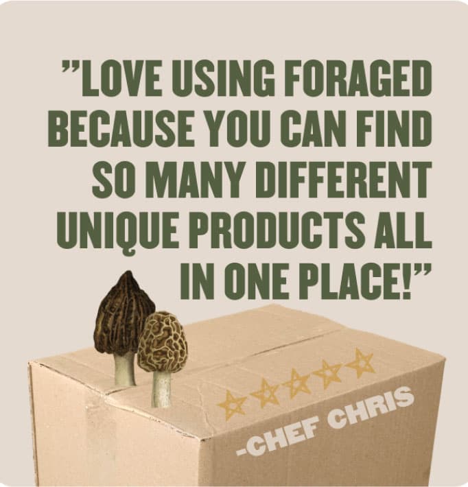 Foraged | The Marketplace for Wild & Specialty Food