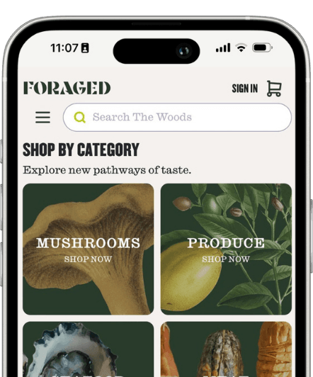 Kossuth County Farmers Market in Algona, Iowa - Foraged
