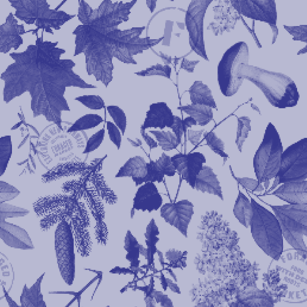 Festival Foods Darboy Farmers' Market in Appleton, Wisconsin - Foraged