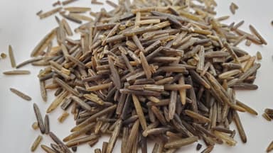 Foraged | The Marketplace for Wild & Specialty Food