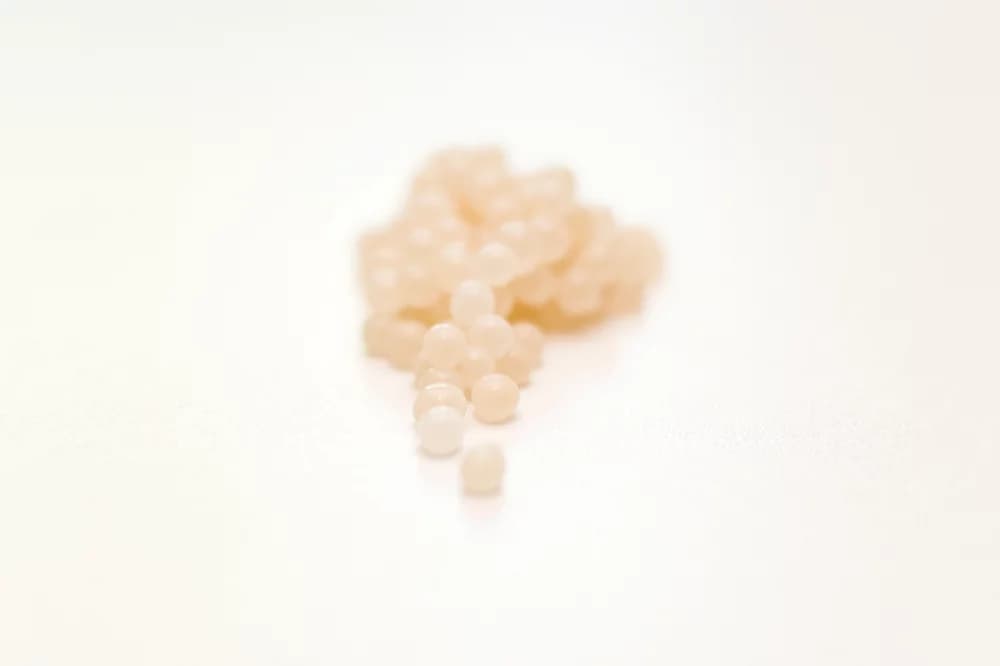 Snail Caviar - 50 grams - Buy Online | Foraged