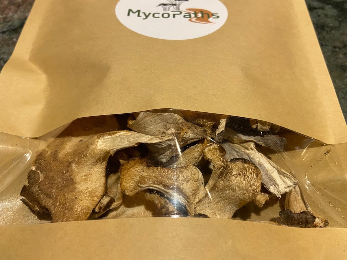 Dried Hen of the Woods (Maitake) Mushrooms (grifola frondosa) - Buy ...