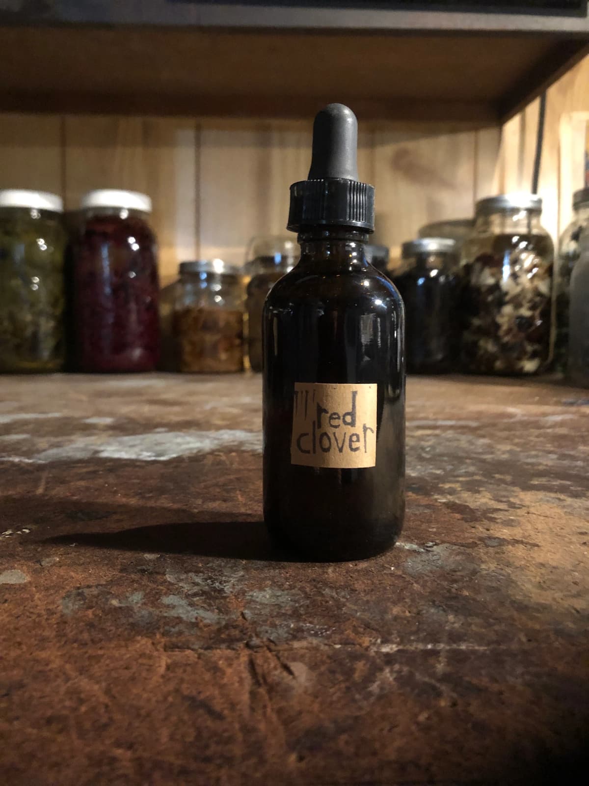 red clover- tinctured fresh and wild foraged - Buy Online | Foraged