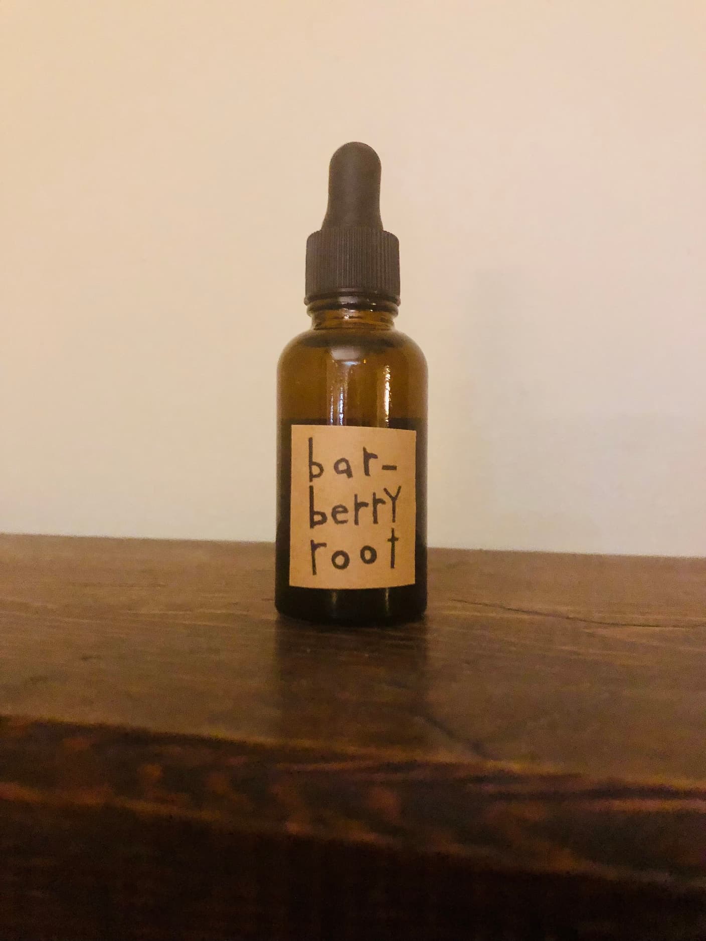 BARberry root tincture- wild foraged tinctured fresh - Buy Online | Foraged