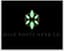 Fraser fir pine seedling - Buy Online | Foraged