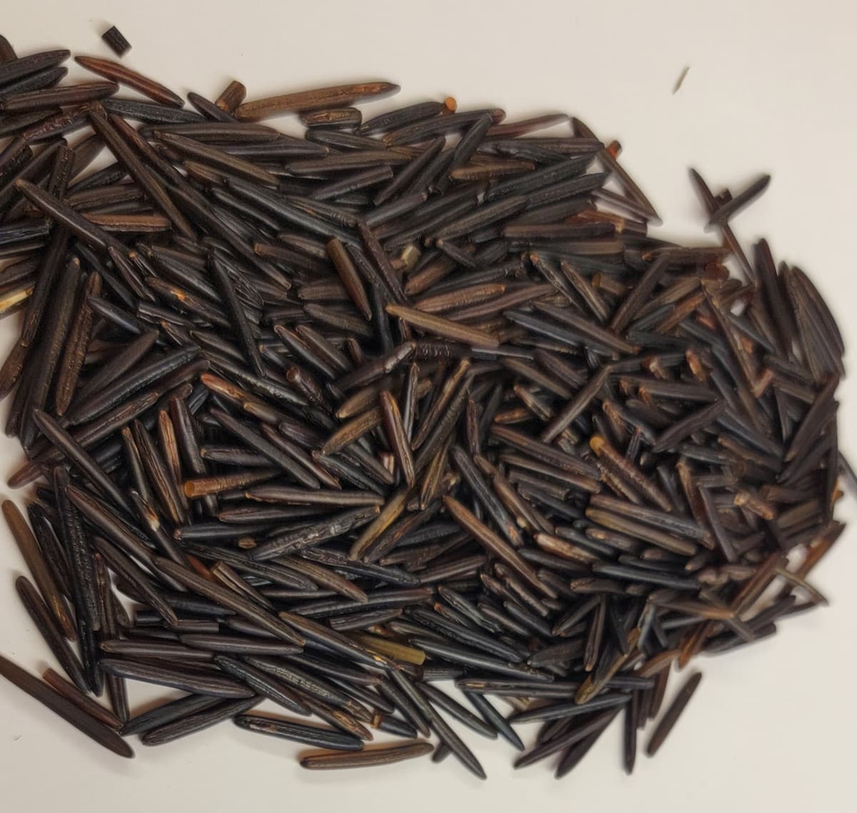 100% Organic Canadian Lake and River Wild Rice - JUMBO SIZE - 5 POUNDS ...