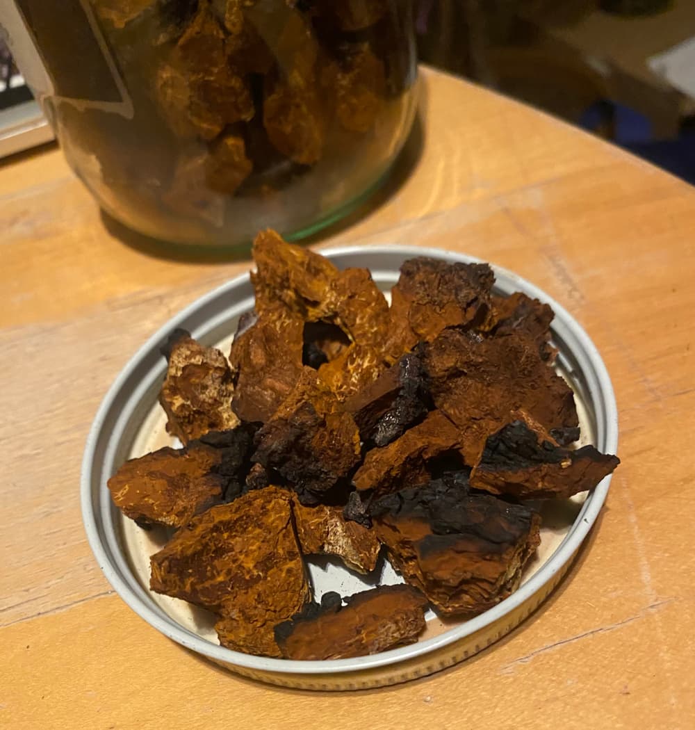 Chaga Chunks - Buy Online | Foraged