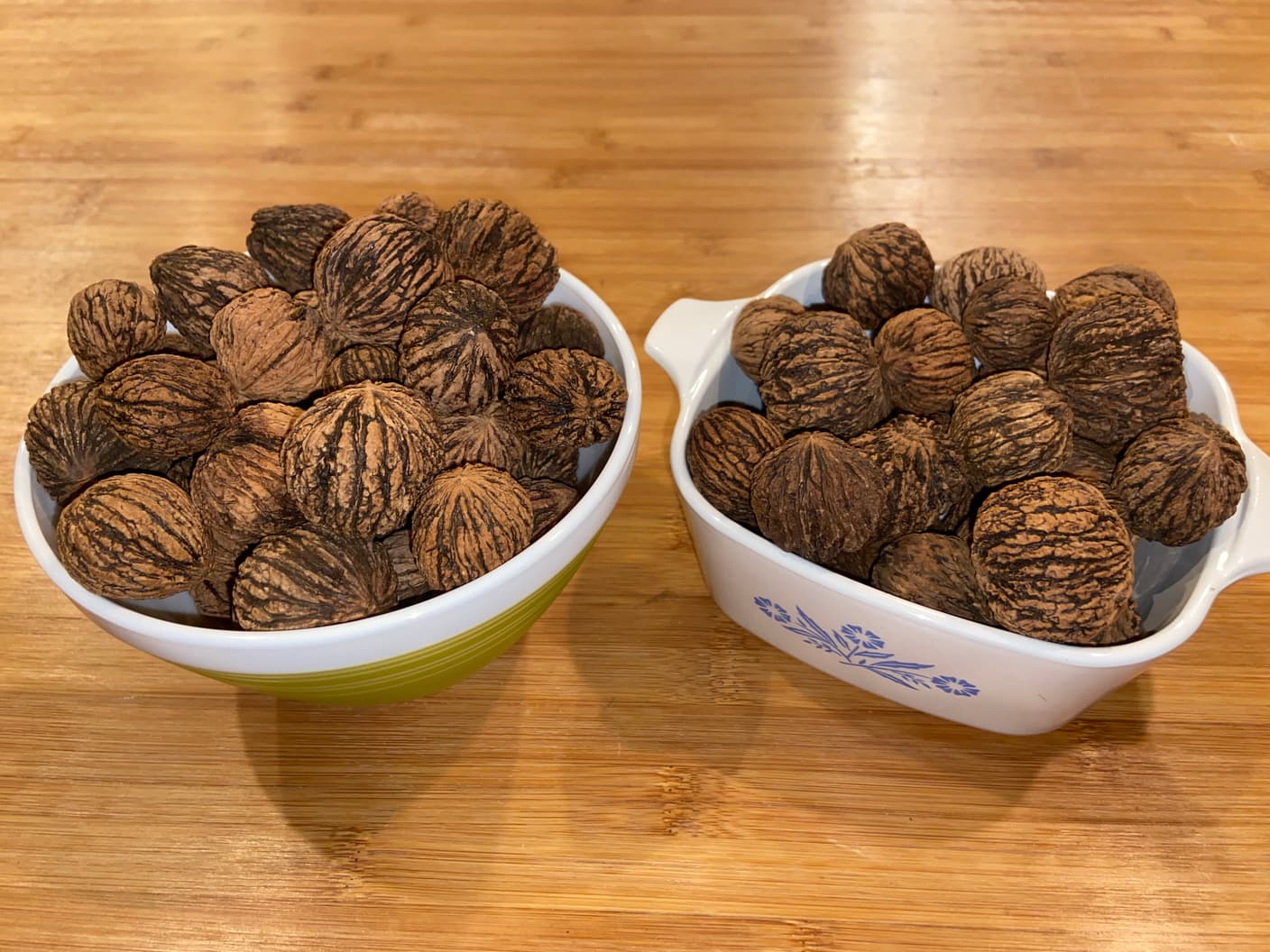 Eastern Black Walnuts in Shell - 2lb - Wild Foraged - Buy Online | Foraged