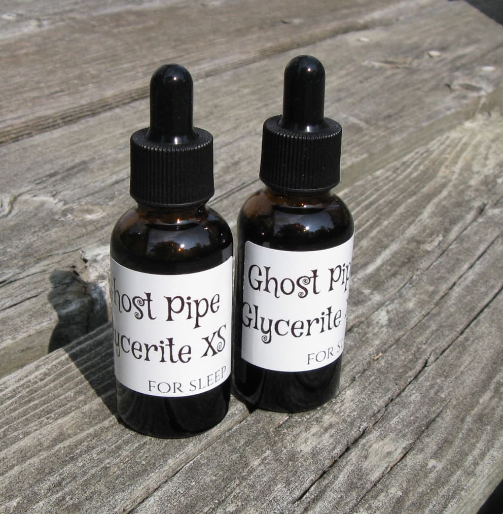 Double Extracted Extra Strength Ghost Pipe Glycerite for Sleep - Buy Online | Foraged