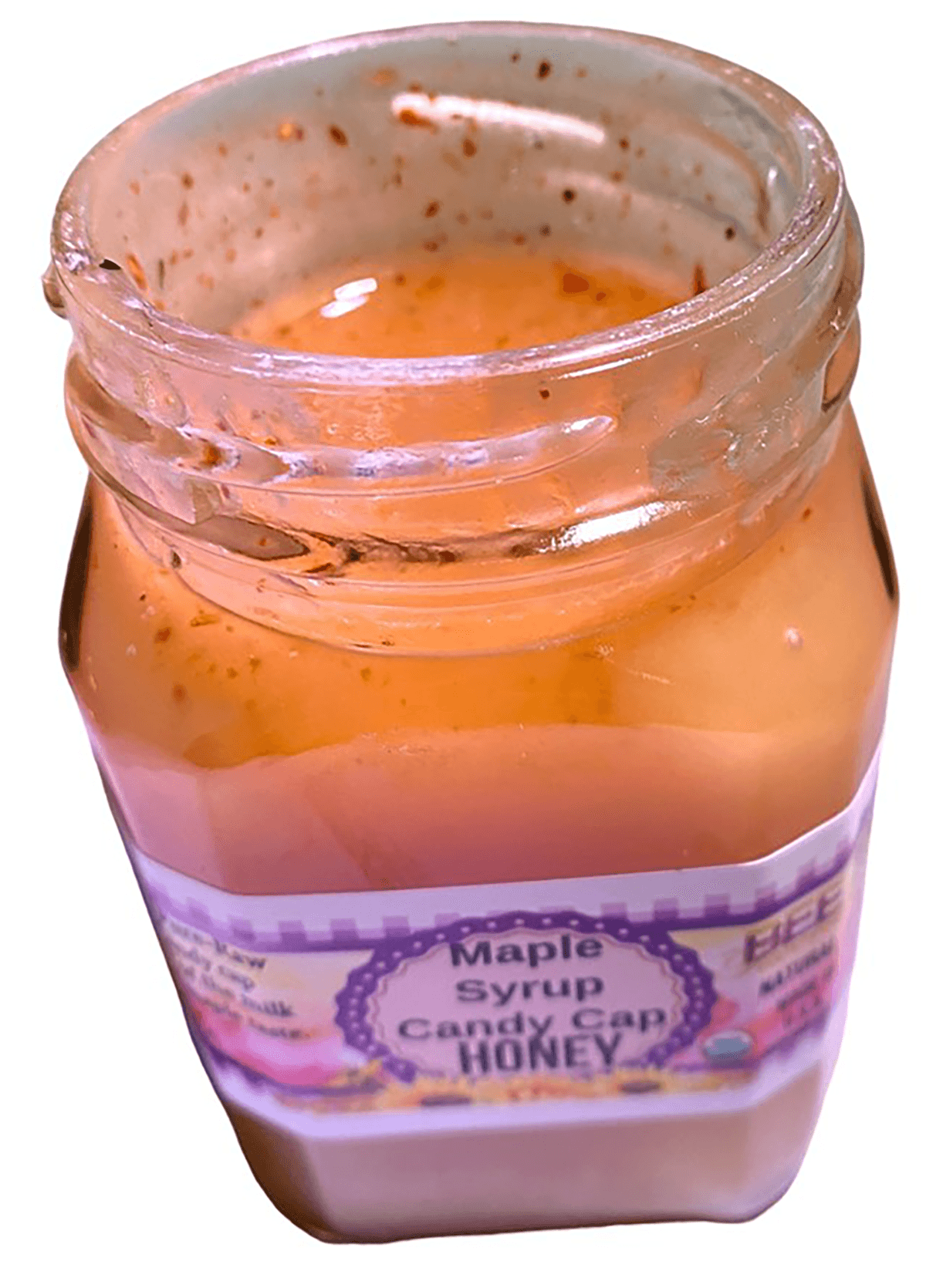 Maple Syrup Mushroom - Candy Cap Honey - Limited - Buy Online | Foraged