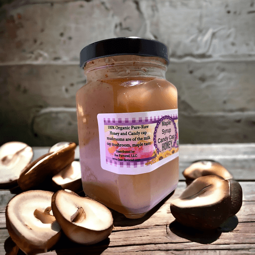 Maple Syrup Mushroom - Candy Cap Honey - Limited - Buy Online | Foraged