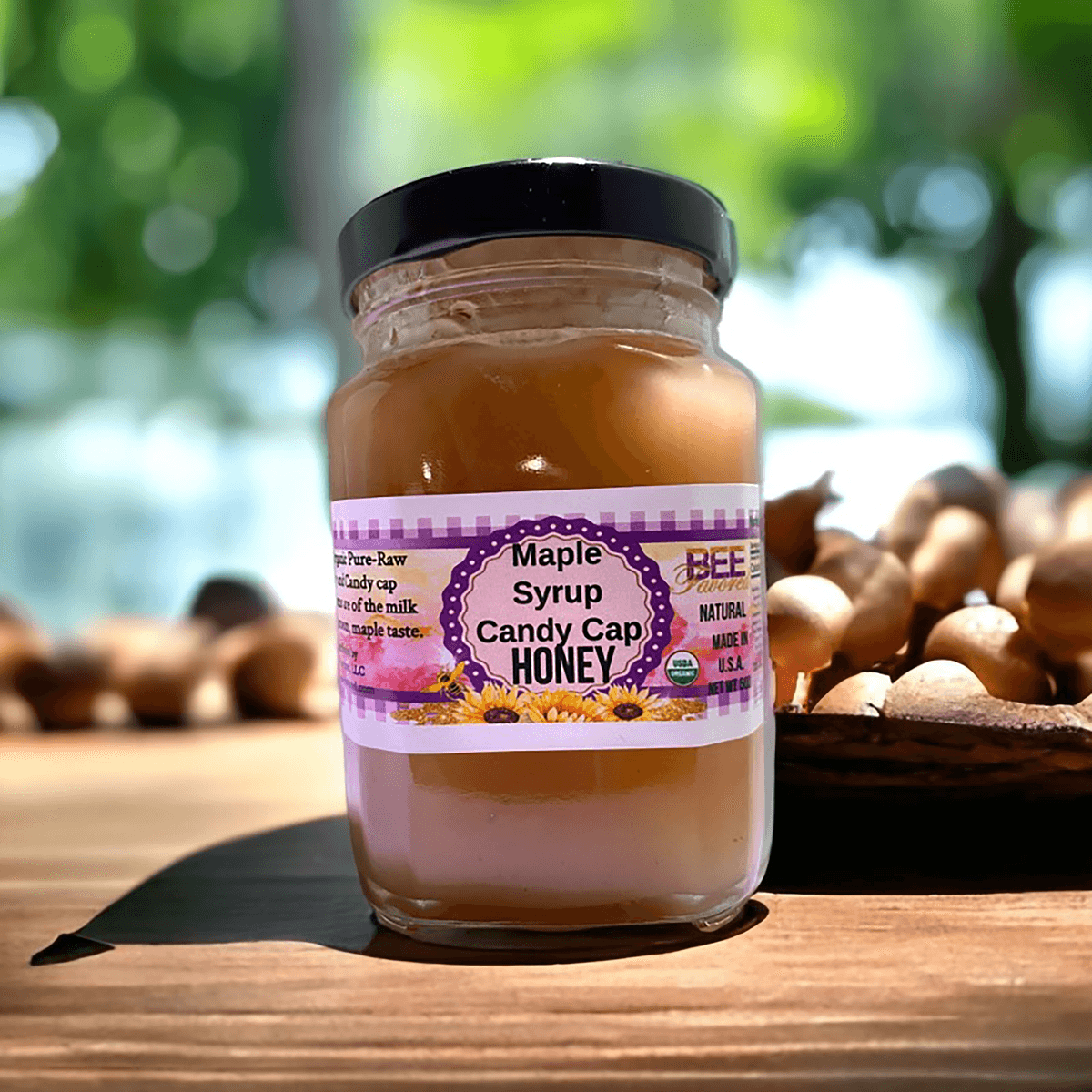 Maple Syrup Mushroom - Candy Cap Honey - Limited - Buy Online | Foraged
