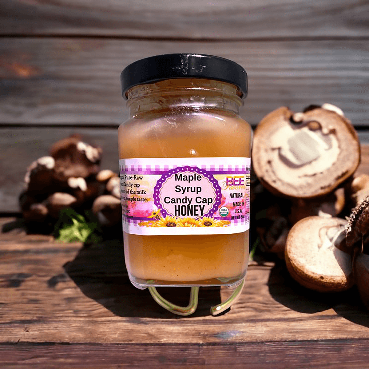 Maple Syrup Mushroom - Candy Cap Honey - Limited - Buy Online | Foraged