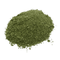 Great Lakes Treats Wild Ramp/Leek Powder 1oz shaker - Buy Online | Foraged