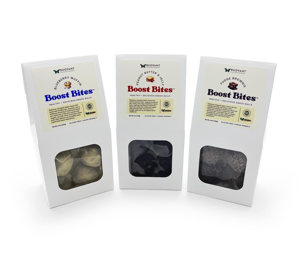 Fudge Brownie BOOST BITES Snack Balls - Buy Online | Foraged