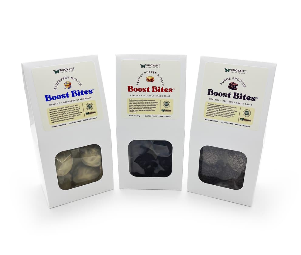 Fudge Brownie BOOST BITES Snack Balls - Buy Online | Foraged