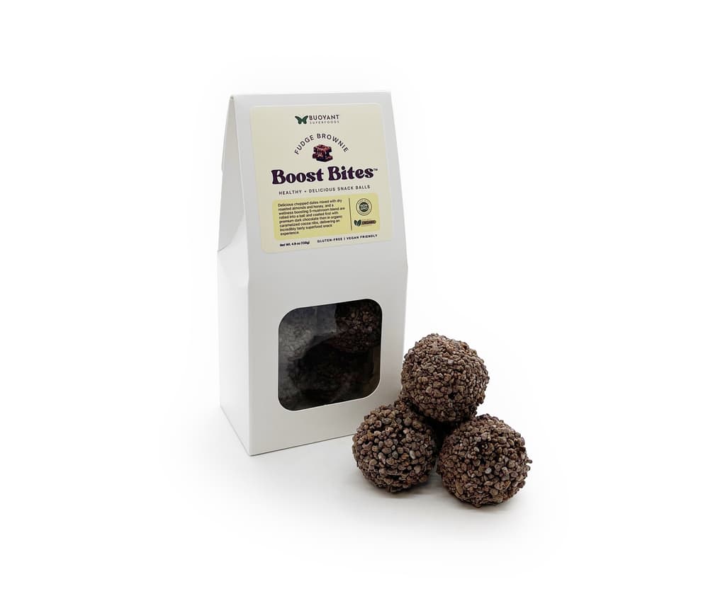 Fudge Brownie BOOST BITES Snack Balls - Foraged