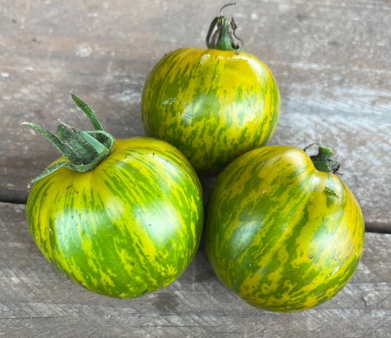 Green Zebra Striped Heirloom Tomato Premium Seed Packet - Buy Online ...
