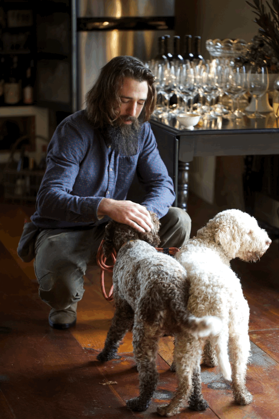 Freeze Dried Blue Ridge Truffles Dog Harvested Truffles from the wilds ...