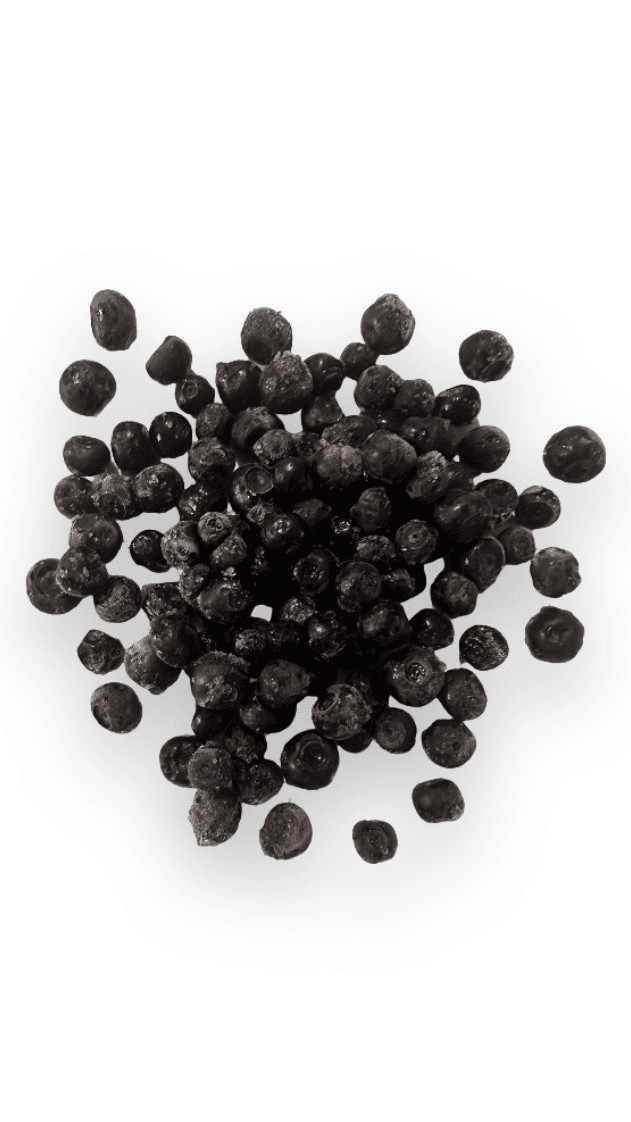 Frozen Wild Huckleberries-5 lbs - Buy Online | Foraged